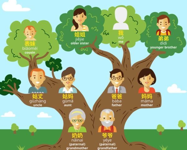 Love Family Tree - Alps Academy