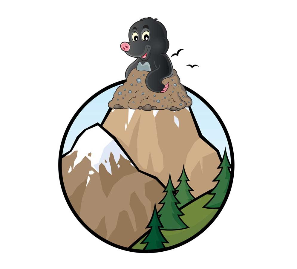 Exploring Examples and Exercises of Earth Idioms in Nature - Alps Academy